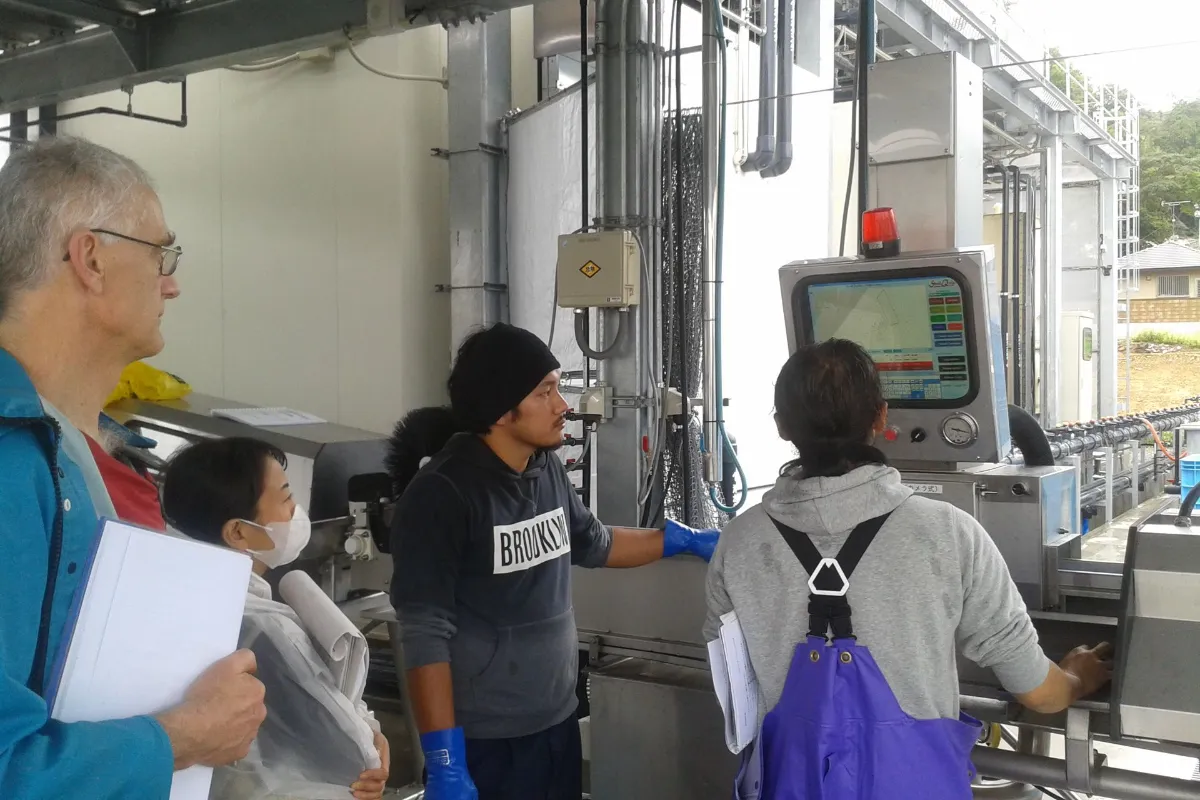 Oyster Sorting Equipment Automating Farming | SED Graders